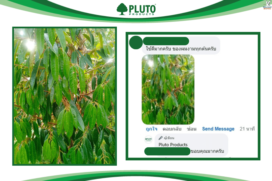 การปลูกพืชสวน – Pluto Products