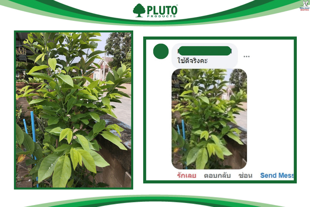 การปลูกพืชสวน – Pluto Products