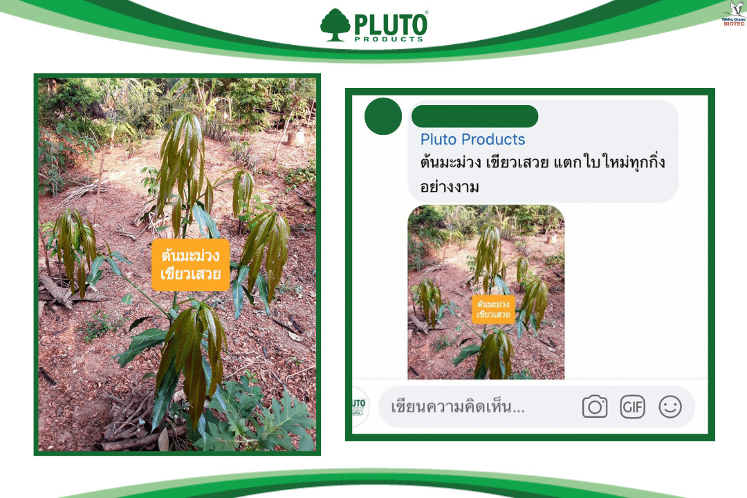 การปลูกพืชสวน – Pluto Products