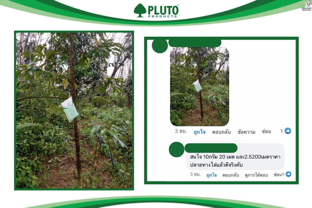 การปลูกพืชสวน – Pluto Products