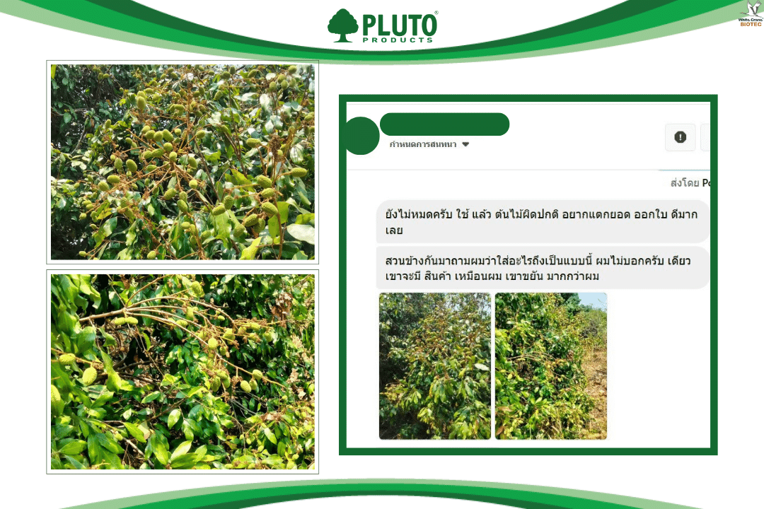 การปลูกพืชสวน – Pluto Products